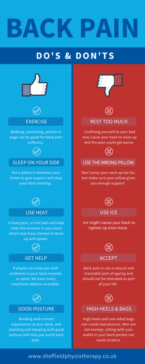 Do's and Don'ts for back pain. - Sheffield Physiotherapy